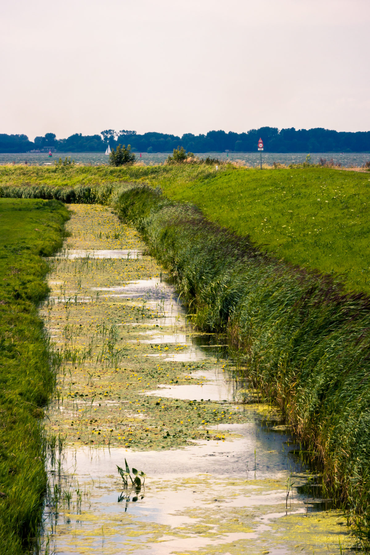 Un día en la isla de Marken - Profesor de fotografía