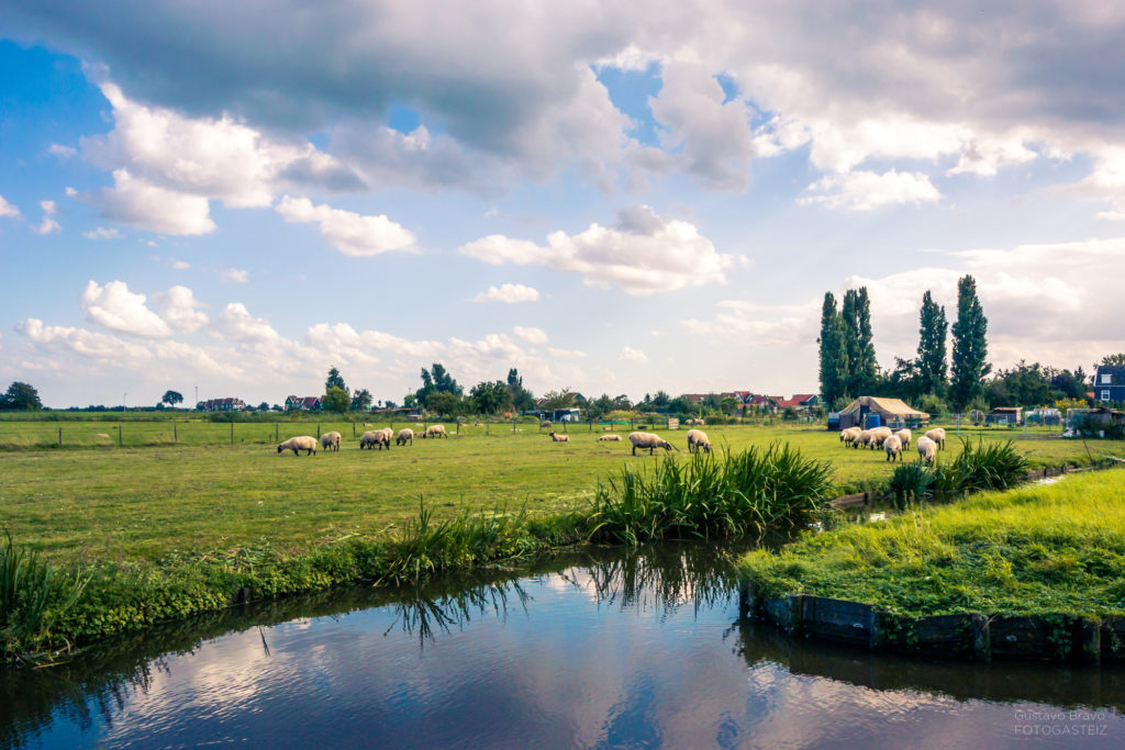 Un día en la isla de Marken - Profesor de fotografía